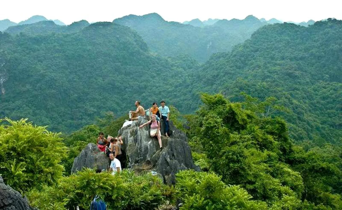 Cat Ba National Park - Nature's Treasure