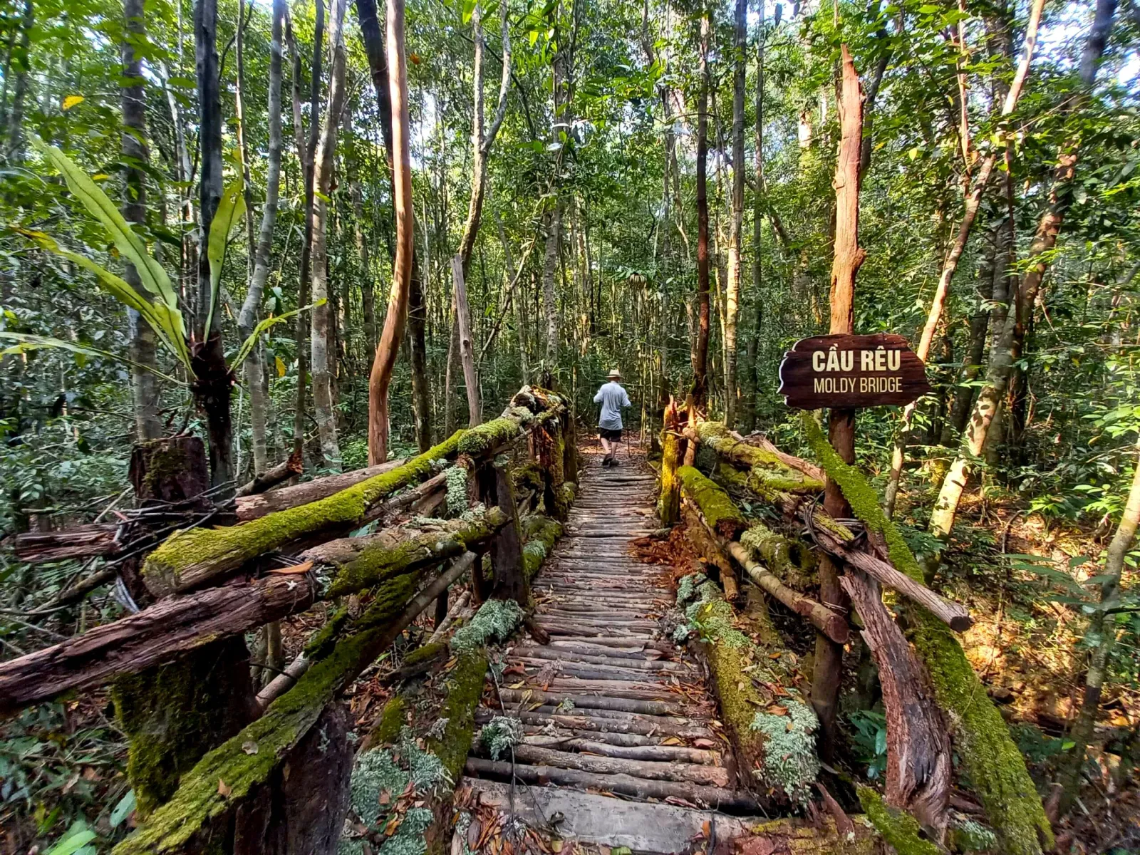 Exploring the Pristine Forests of Phu Quoc